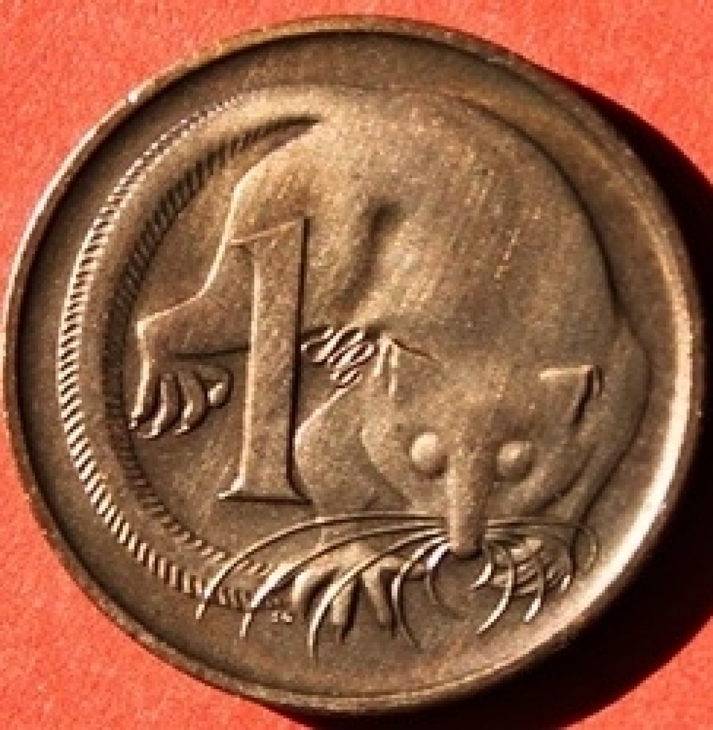 1 Cent 1989 Elizabeth II 1952 present Australia Coin 40141 1 Cent 1989 Elizabeth II 1952 present Australia Coin 40141