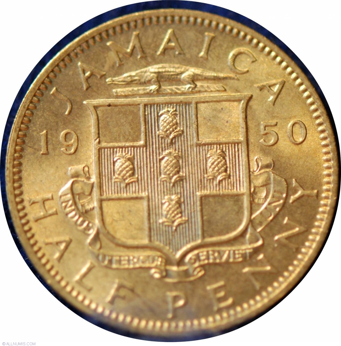1 2 Penny 1950 Colonie Britanica 1941 1962 Jamaica Moned 24066 1 2 Penny 1950 Colonie Britanica 1941 1962 Jamaica Moned 24066