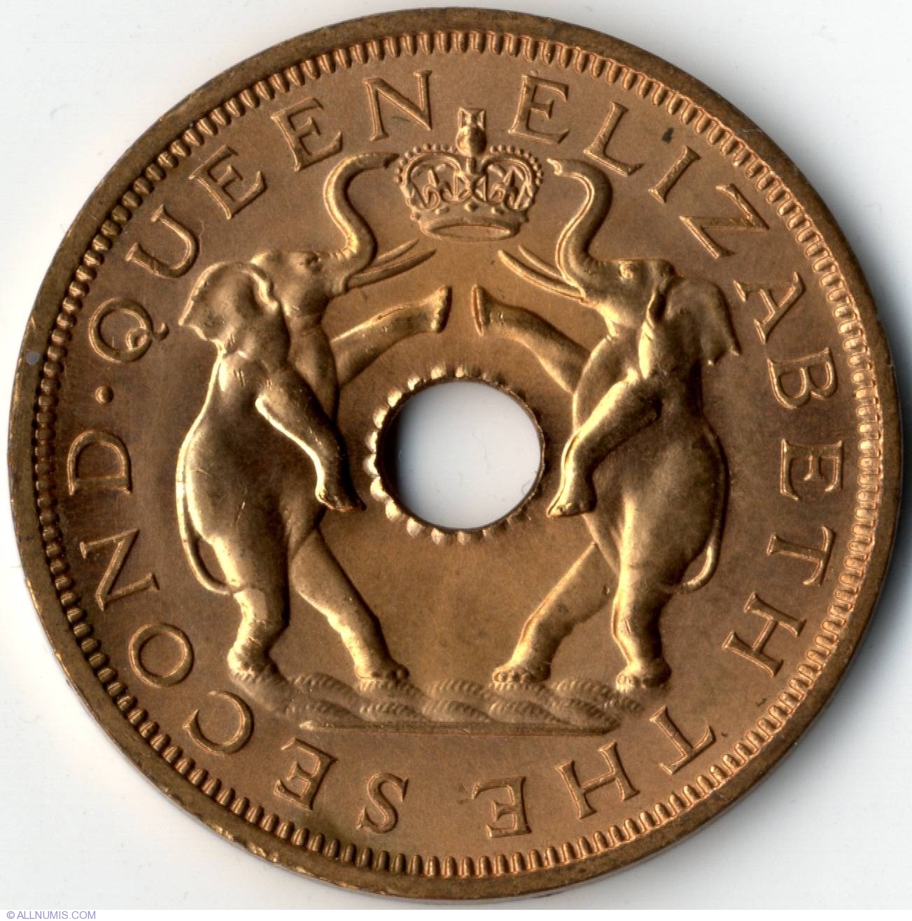 1 Penny 1962 Elizabeth II 1952 1964 Rhodesia And Nyasaland Coin 1 Penny 1962 Elizabeth II 1952 1964 Rhodesia And Nyasaland Coin